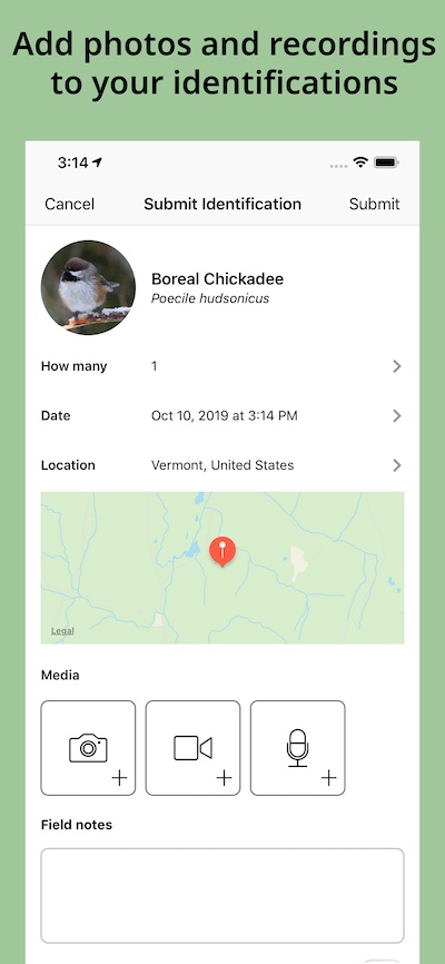 Identify birds with our award-winning app - Smart Bird ID